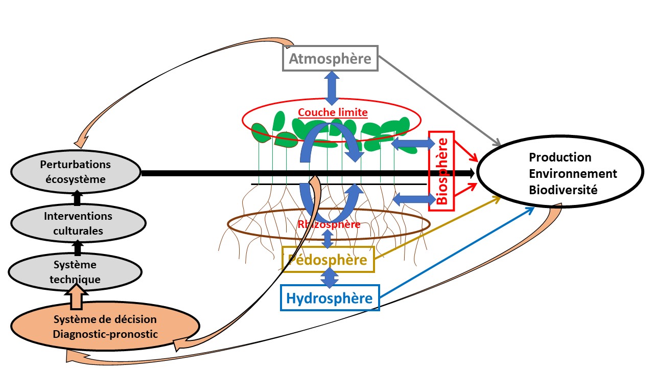 Agrosystème, agroécosystème — Les Mots de l'agronomie