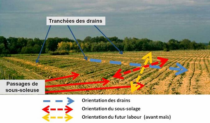 Sous-solage — Les Mots de l'agronomie