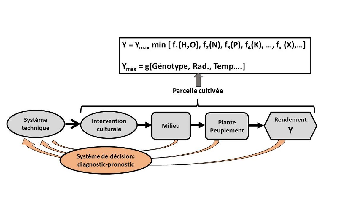 Agrosystème, agroécosystème — Les Mots de l'agronomie