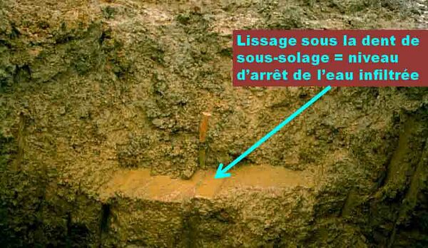 Sous-solage — Les Mots de l'agronomie